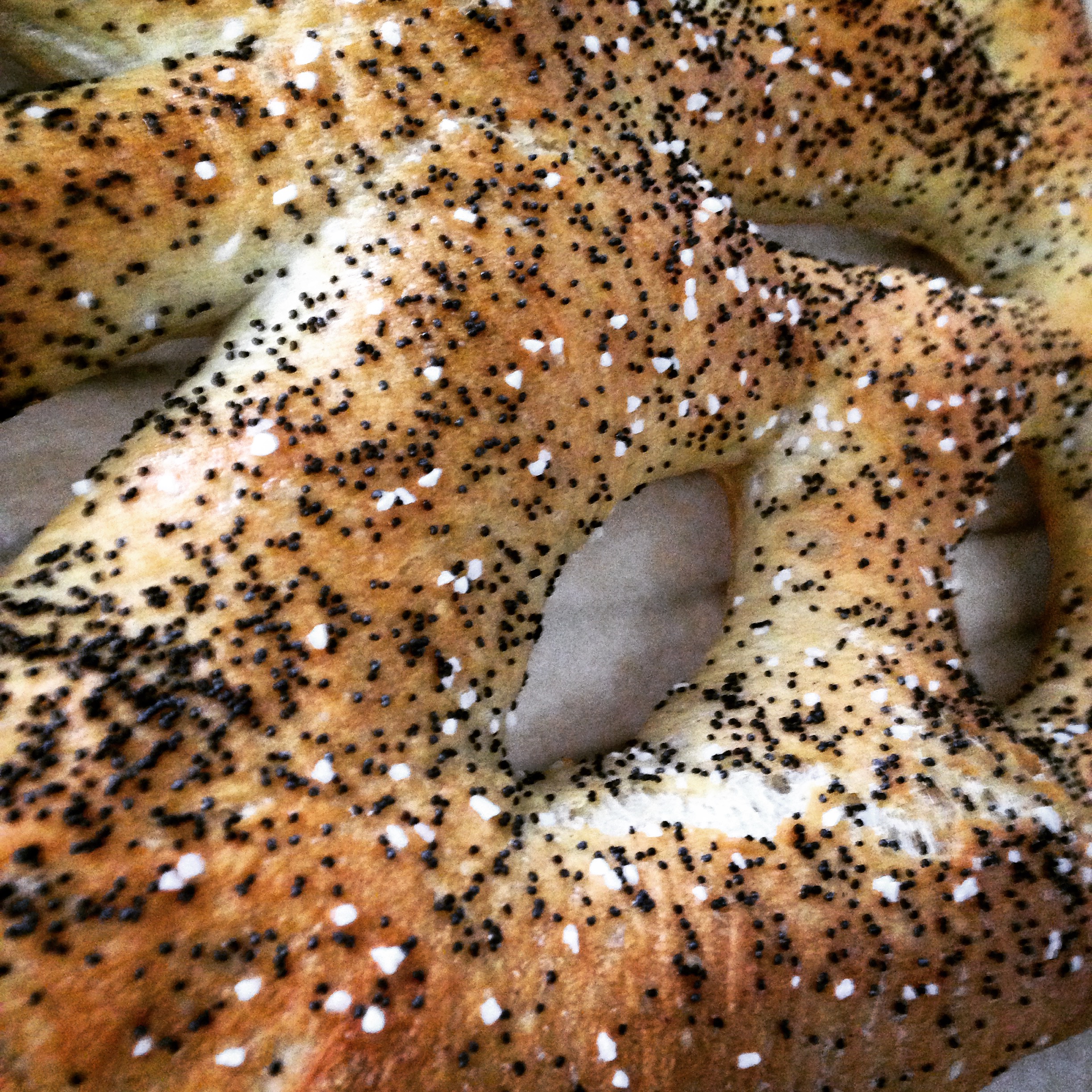 Updated Bread Schedule | Utica Bread